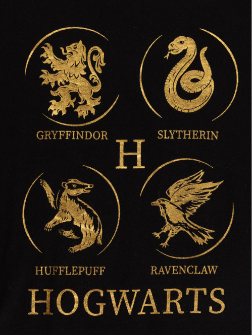 Tee-shirt Harry Potter fille (XXS-M)