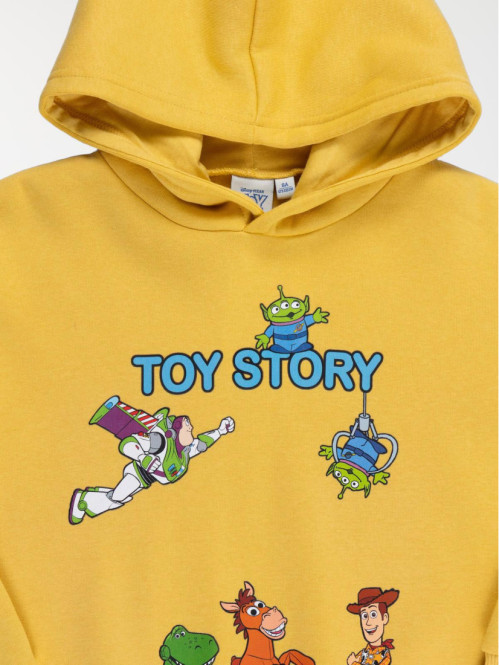Sweat à capuche Toy Story garçon (3-8A)
